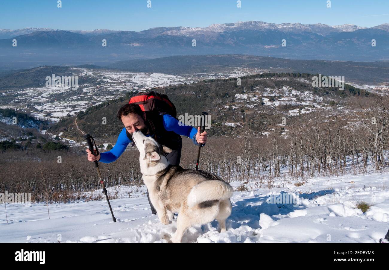 Adventurous male hiker playing with his husky while hiking up a snowy ...