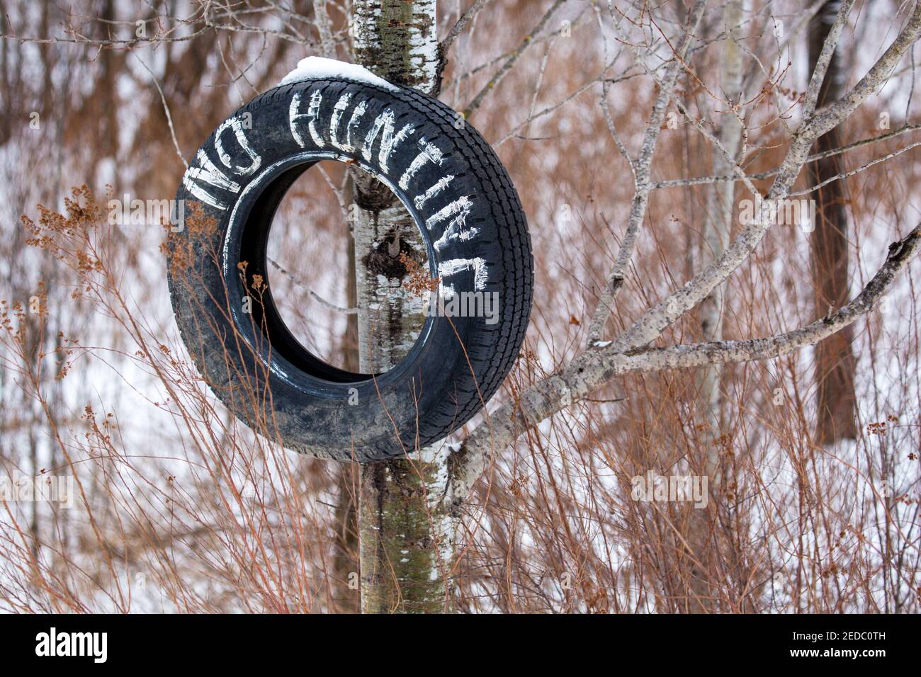 Old tire used for a no hunting sign in Wisconsin, horizontal Stock ...