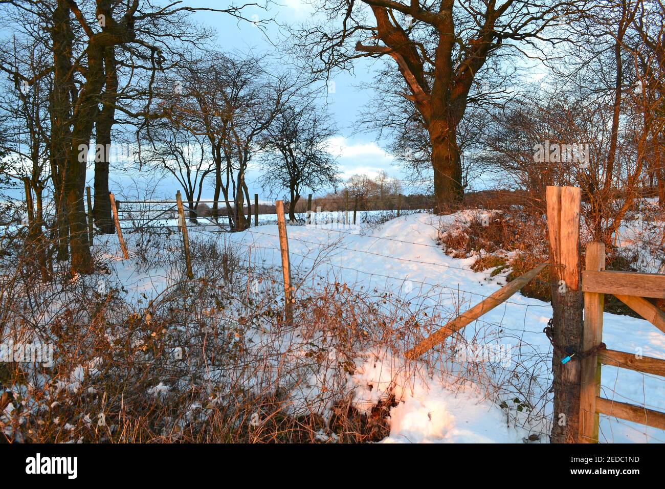 Pilgrims’ way over the south downs hi-res stock photography and images ...