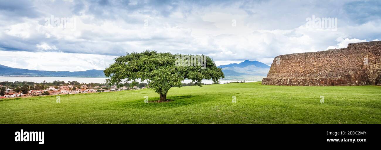 Tarasco hi-res stock photography and images - Alamy