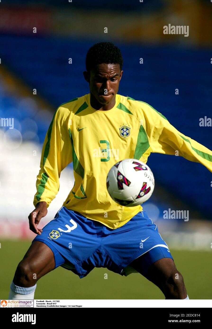 Leonardo brazil hi-res stock photography and images - Alamy