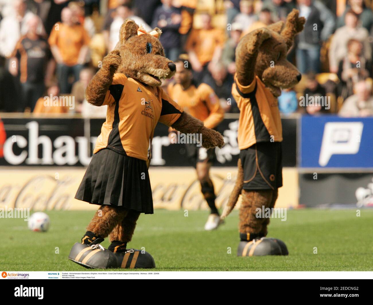 Wolverhampton wolves mascots hi-res stock photography and images - Alamy