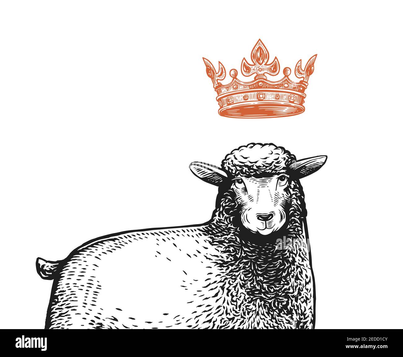 Vector Stylized Close up Illustration of the Queen Sheep with a crown ...