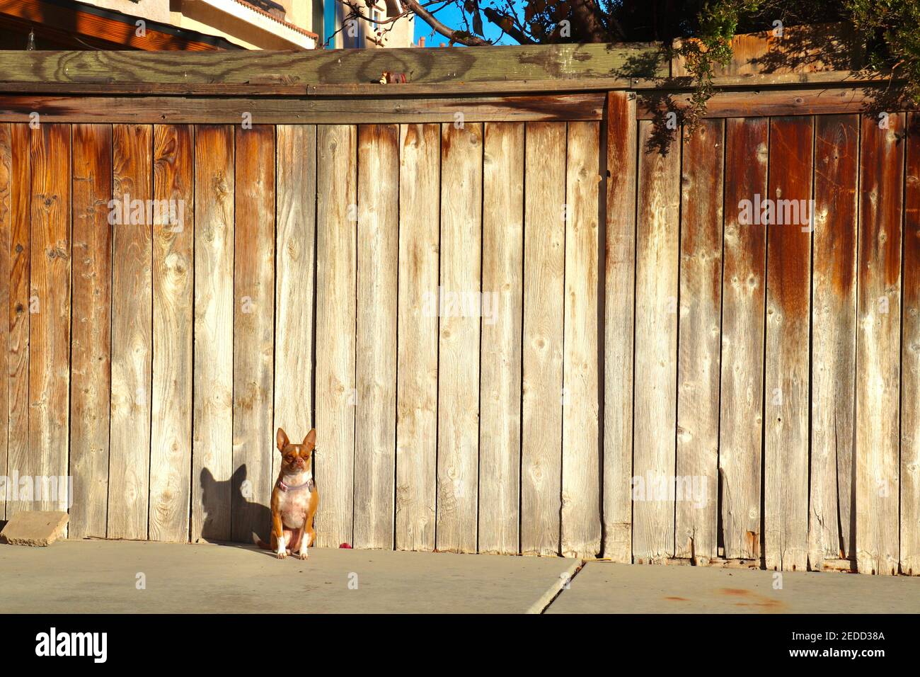 Rustic fence with rural desert landscape Stock Photo - Alamy