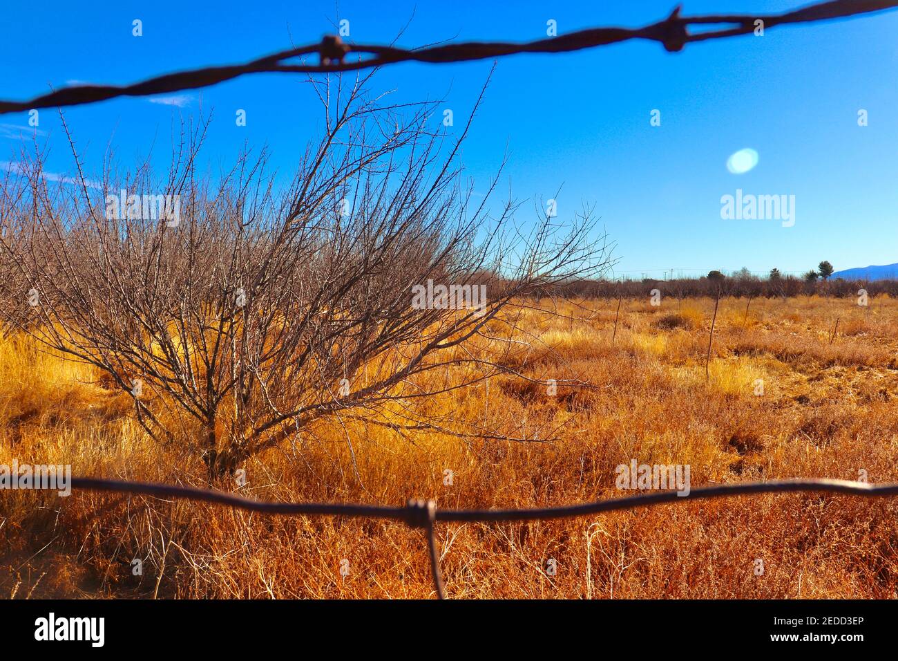 Rustic forged fence hi-res stock photography and images - Alamy