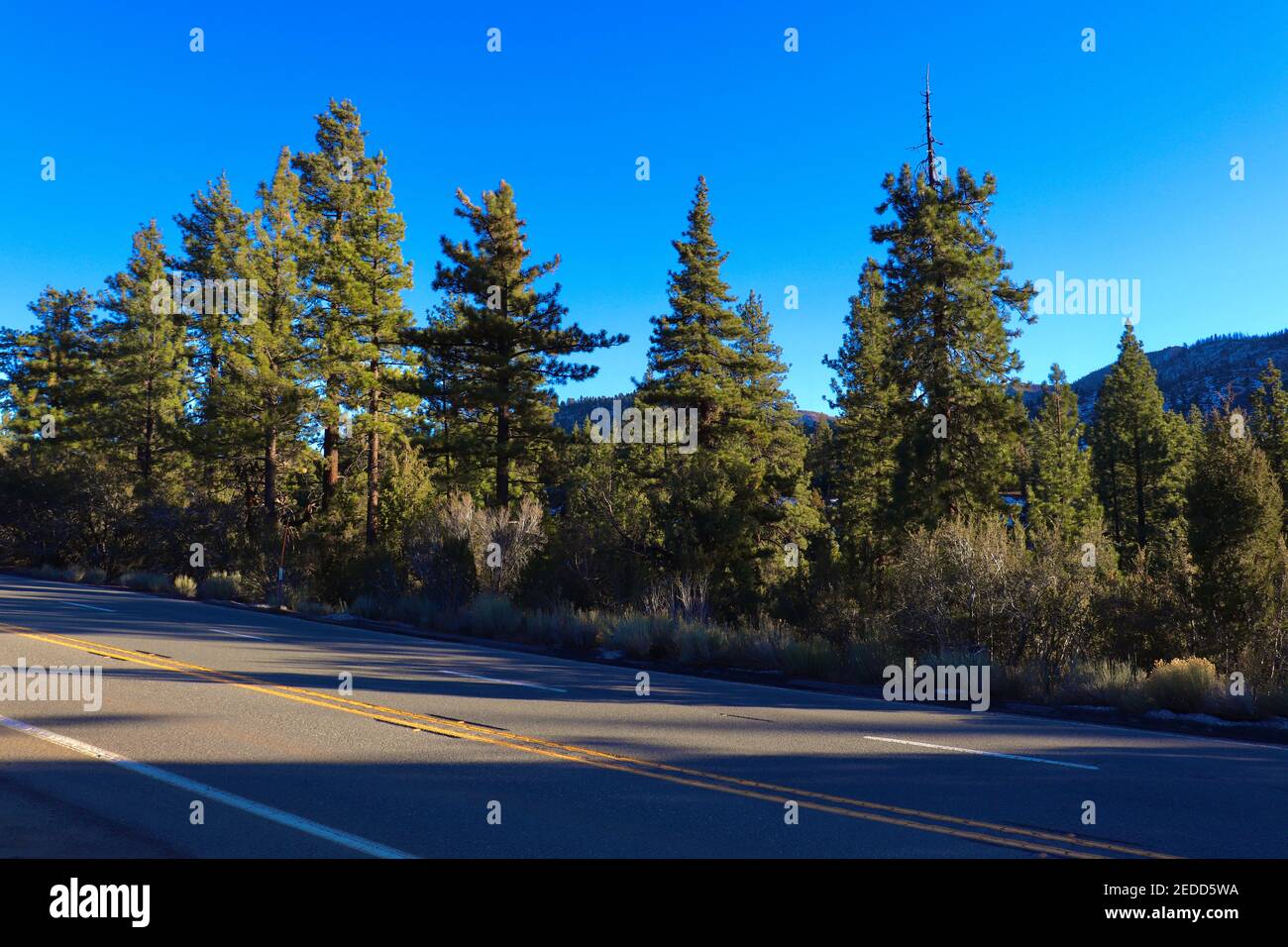Big bear mountain hi-res stock photography and images - Alamy