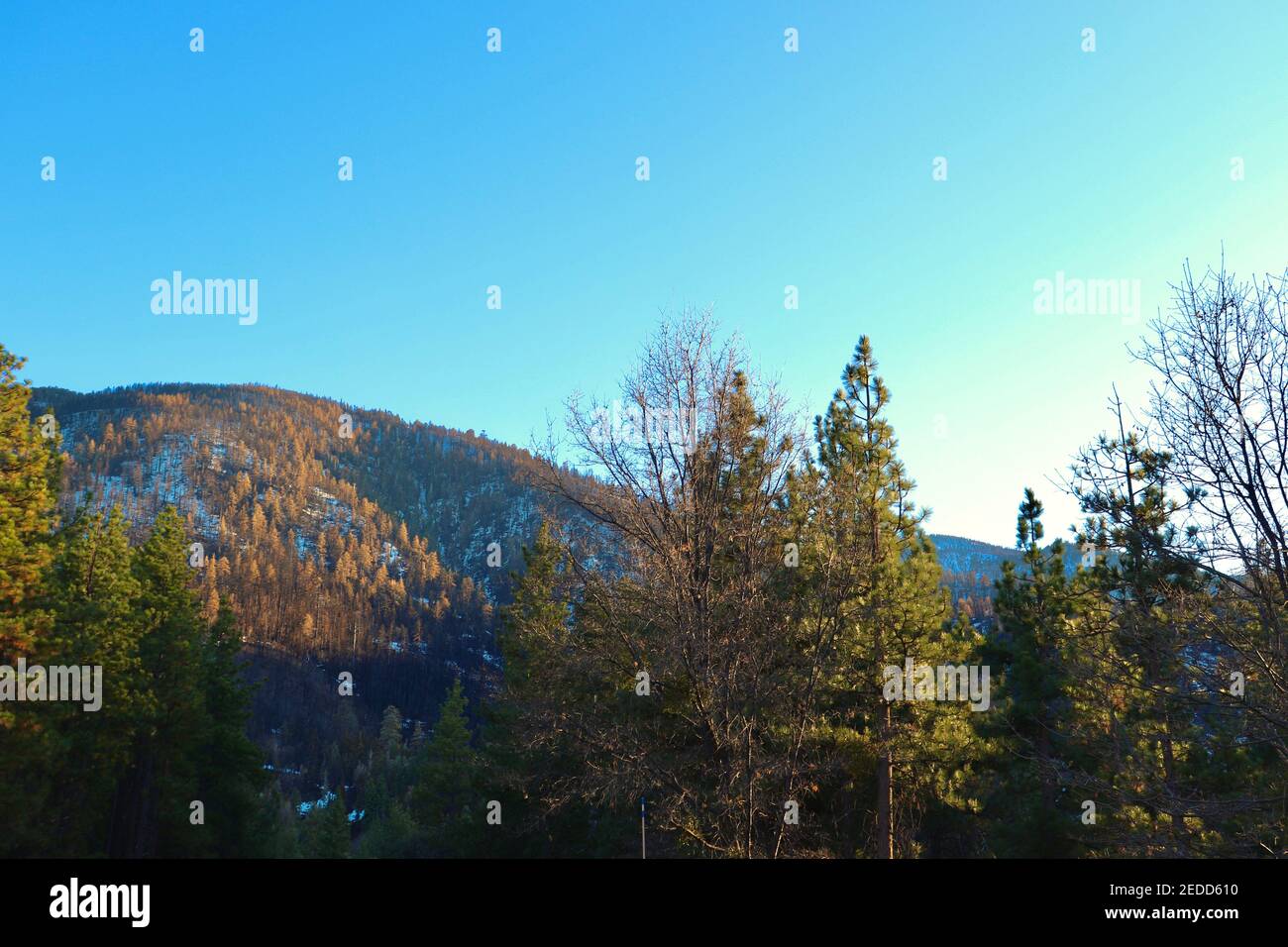 Big bear mountain hi-res stock photography and images - Alamy