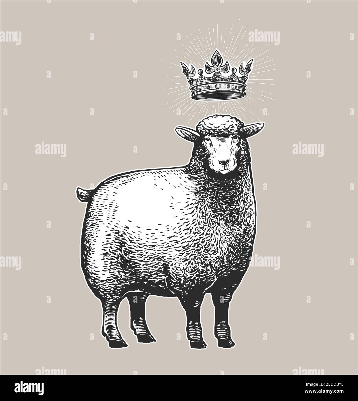 Vector Stylized Illustration of the Sheep with the crown over the head ...