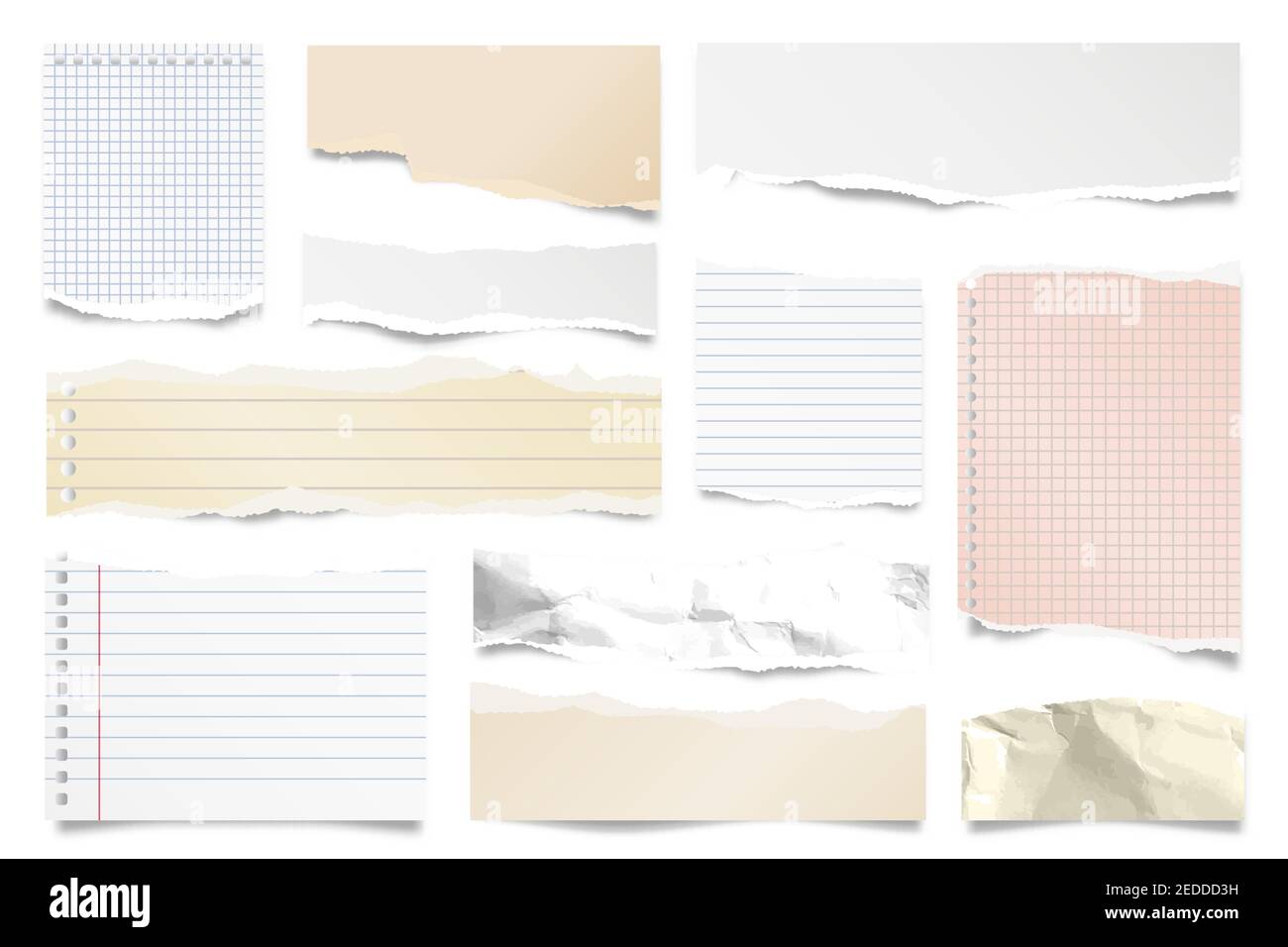 Colorful ripped paper strips isolated on white background. Realistic ...