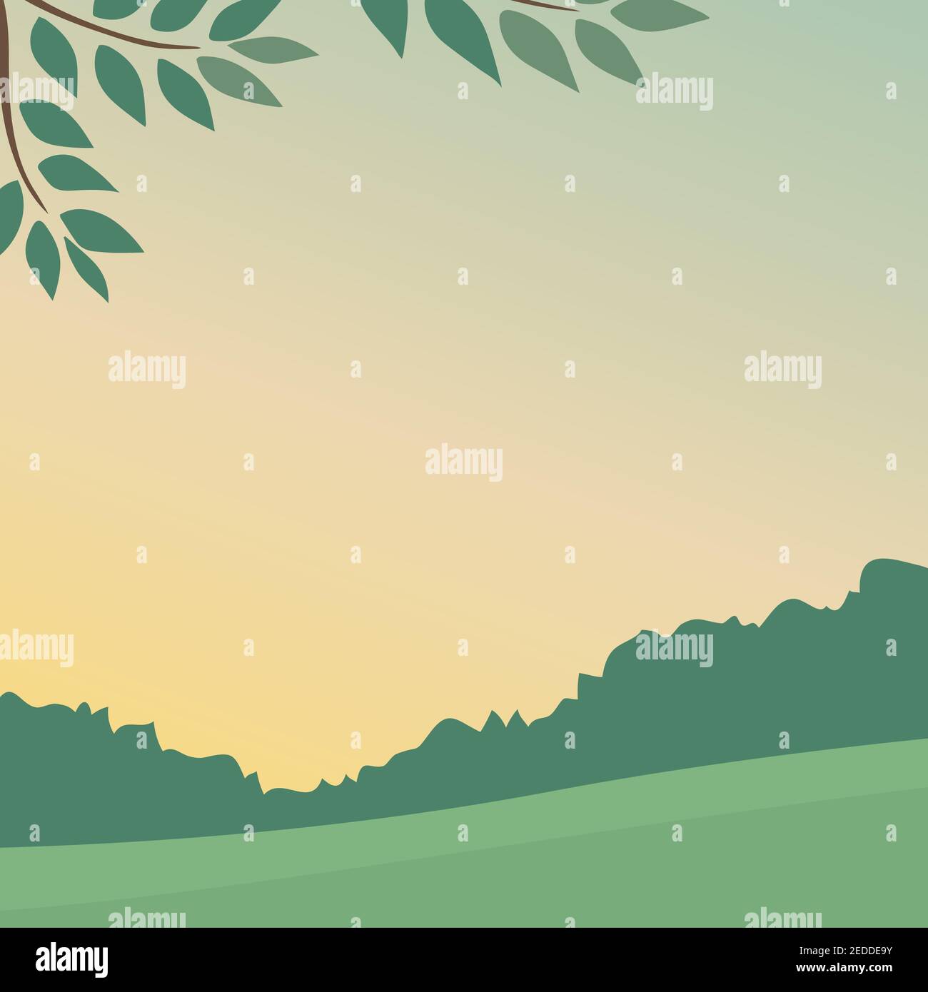 Calm and peaceful summer forest landscape. Green trees and foliage ...