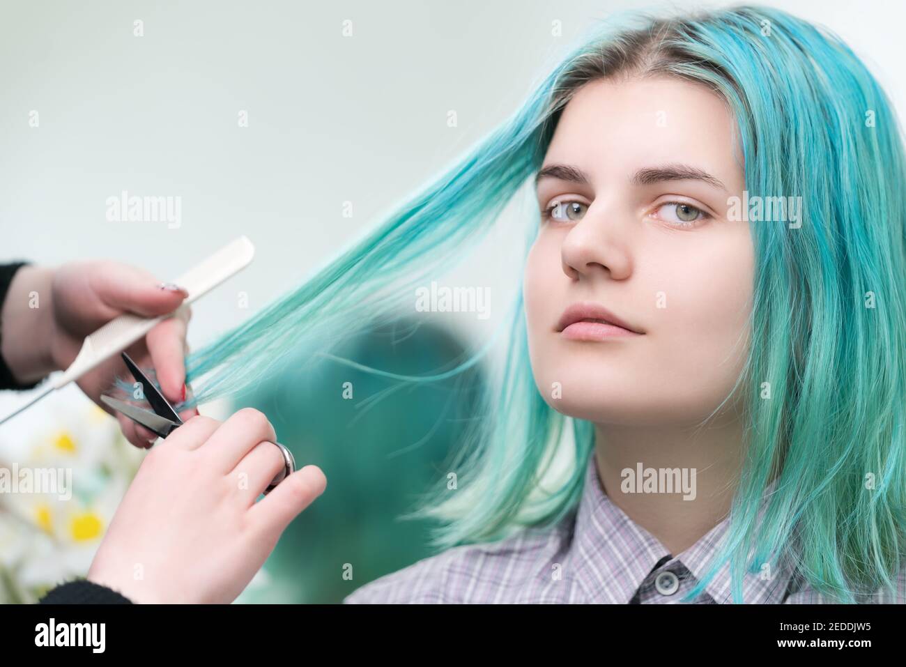Haircutting in process hi-res stock photography and images - Alamy