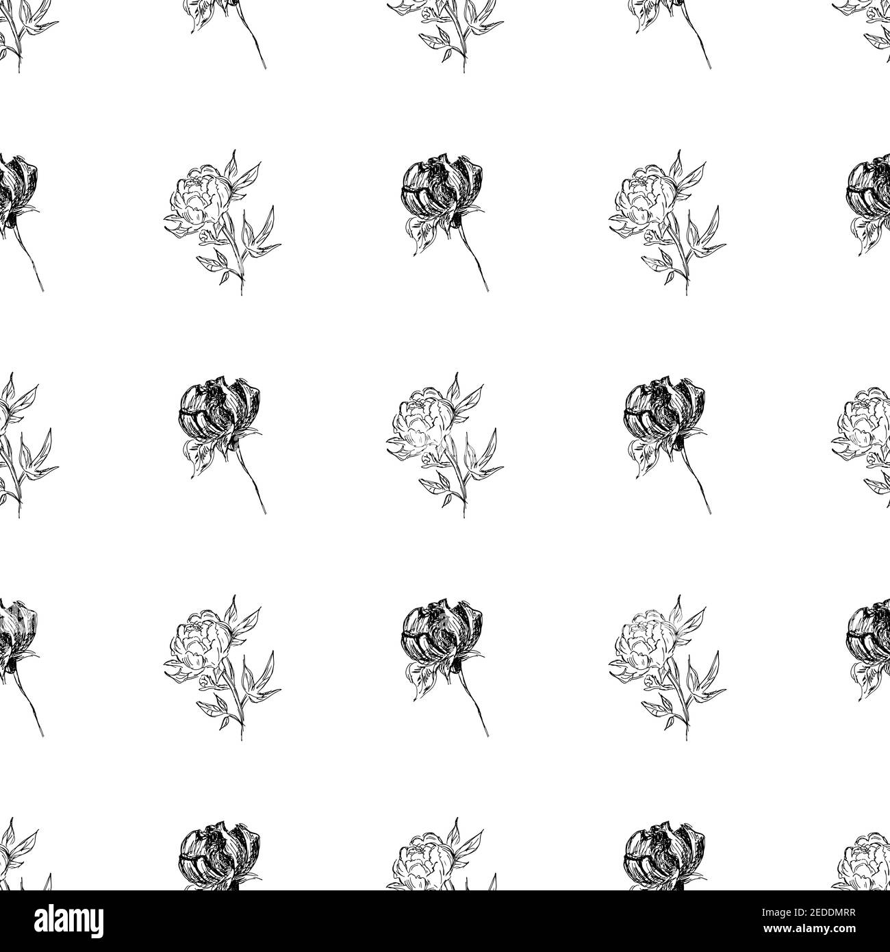 Doodle simple vector seamless pattern of hand-drawn peonies. Seamless ...