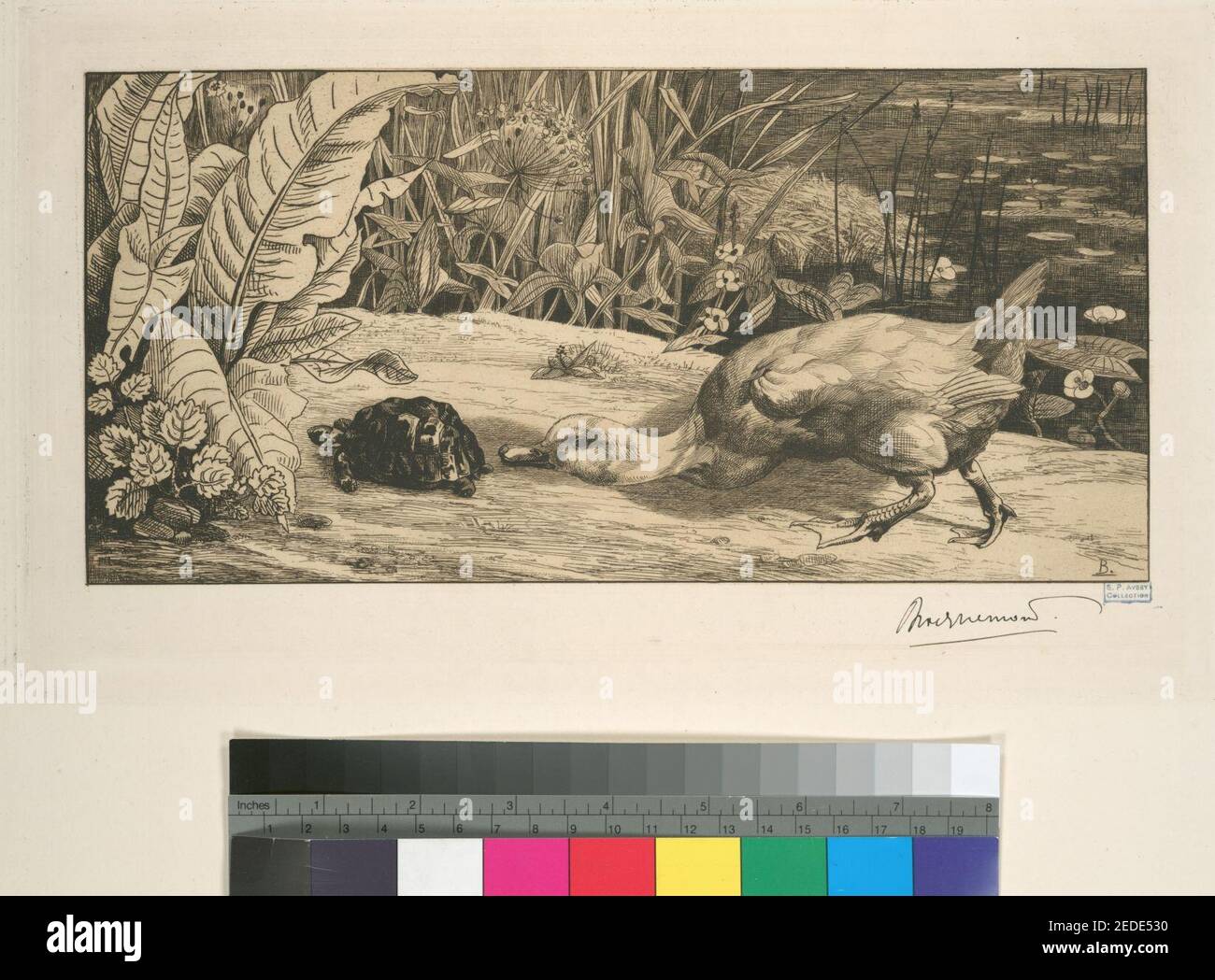 Linconnu hi-res stock photography and images - Alamy