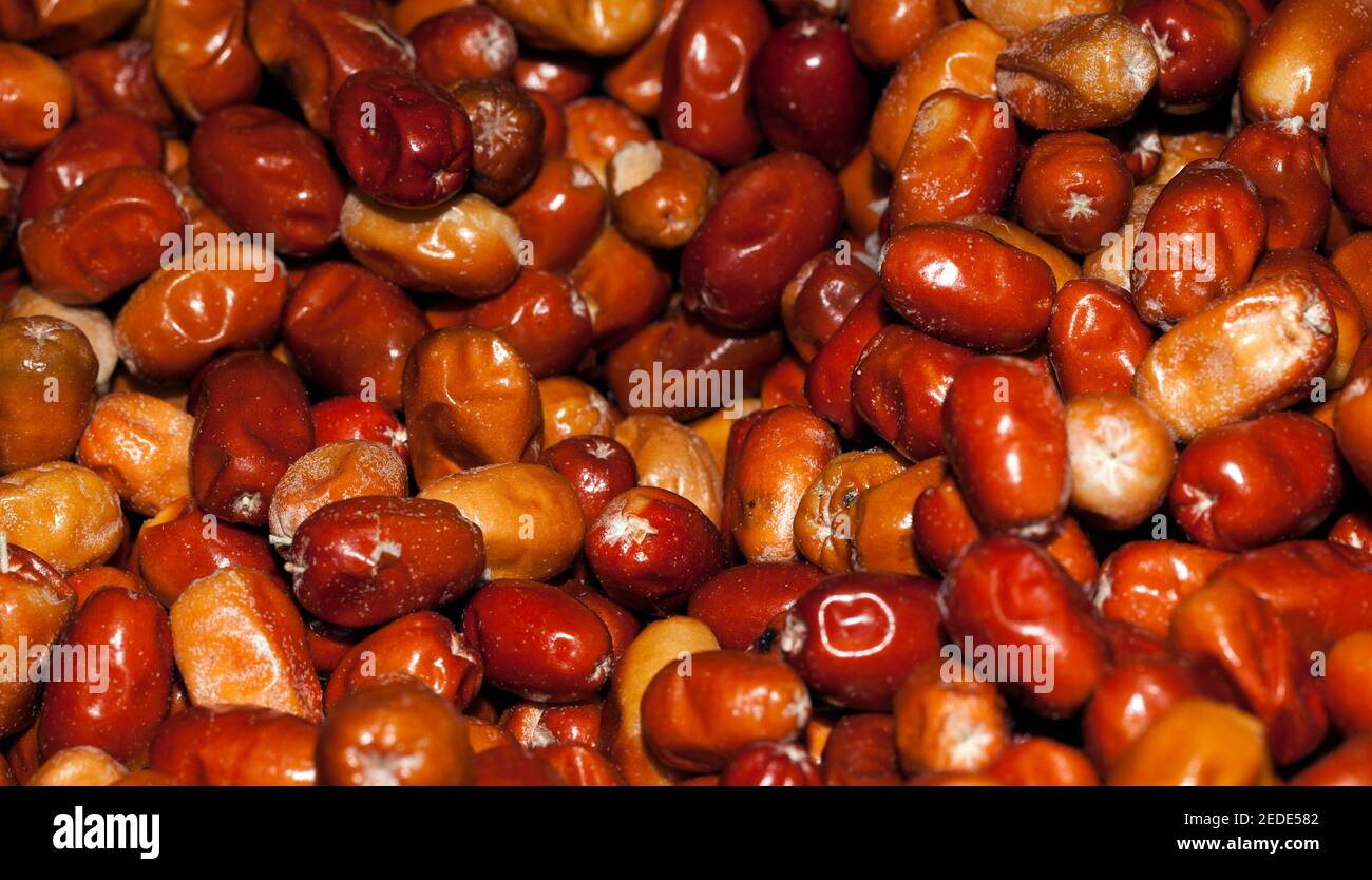 Healthy Organic and Sweet Fruit Silverberry Photo Stock Photo - Alamy