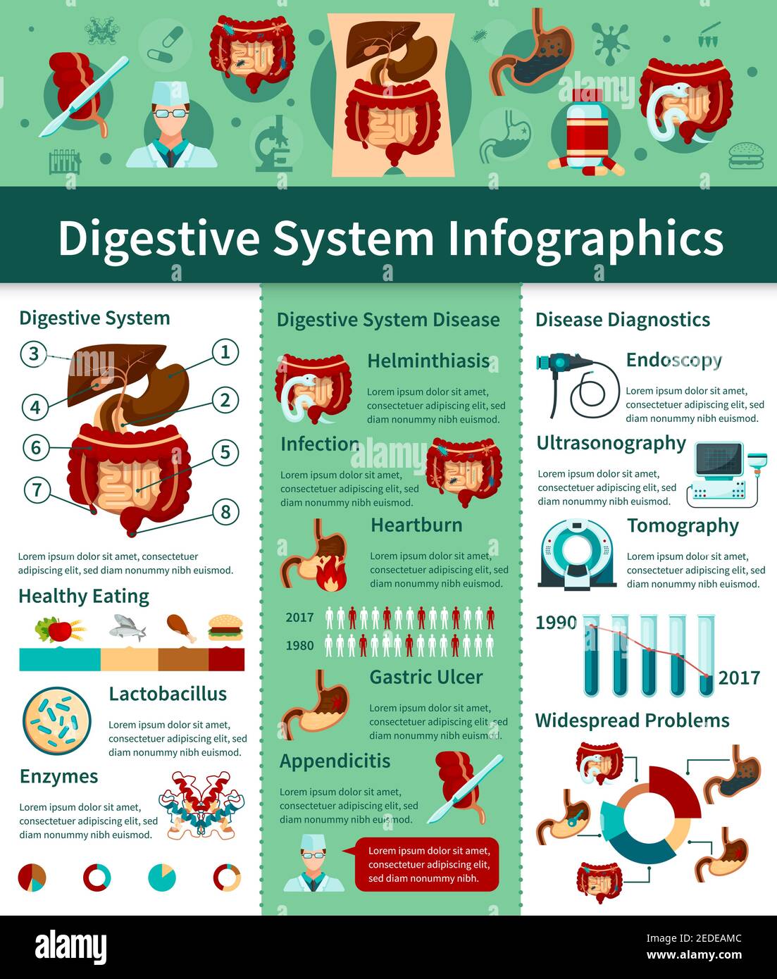 Digestive enzyme Stock Vector Images - Alamy