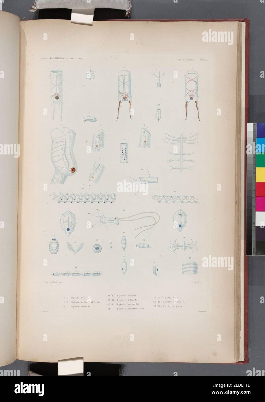 18 9 15 6 hi-res stock photography and images - Alamy