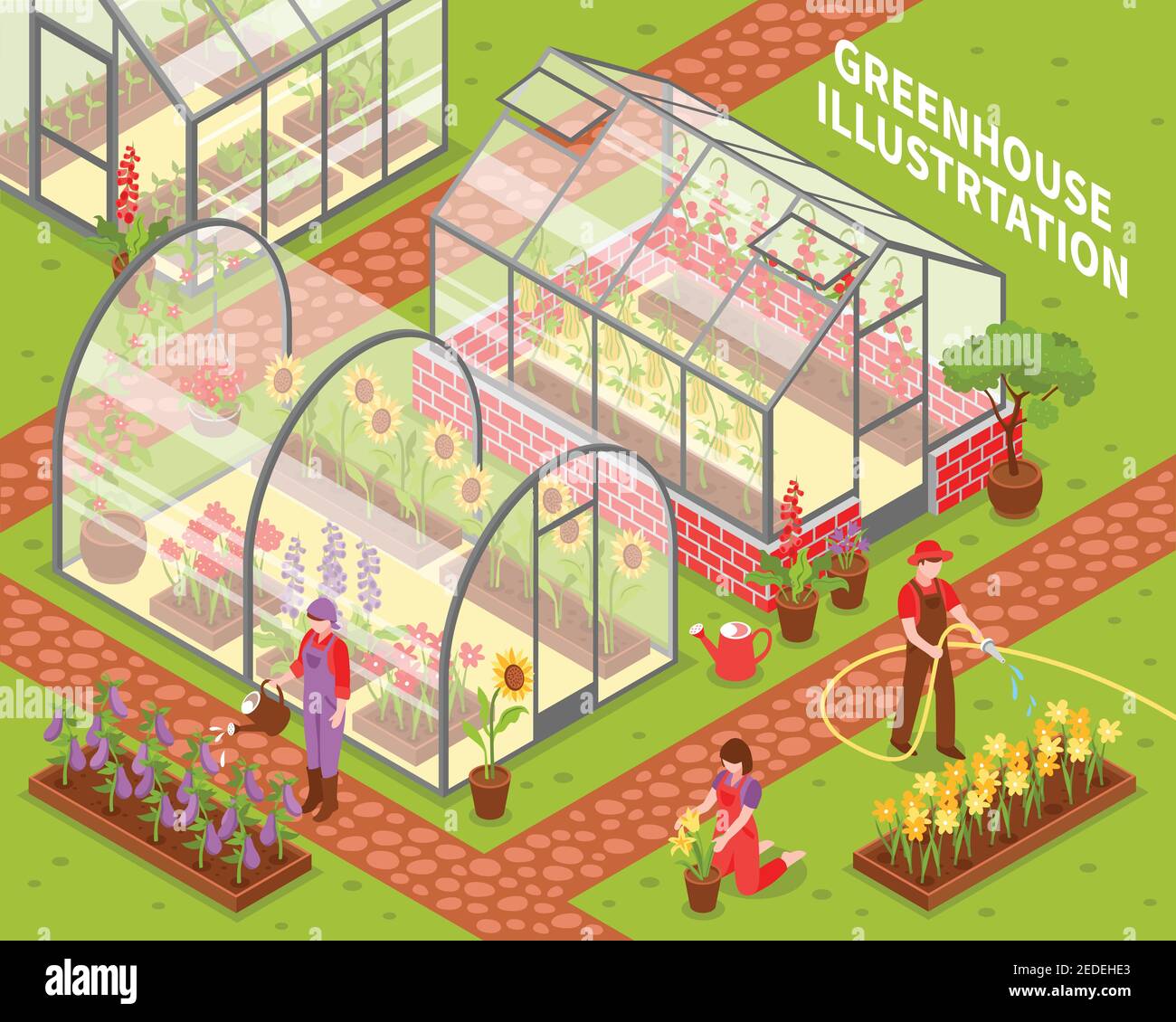 Colored isometric greenhouse composition with growing flowers in ...