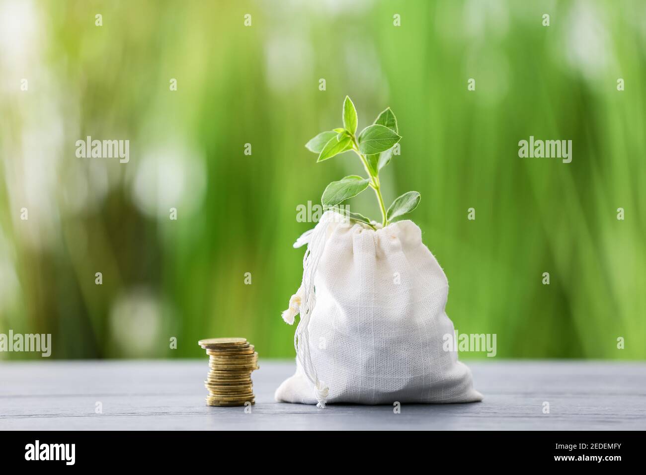 Bag with savings and young plant on table outdoors. Concept of pension ...