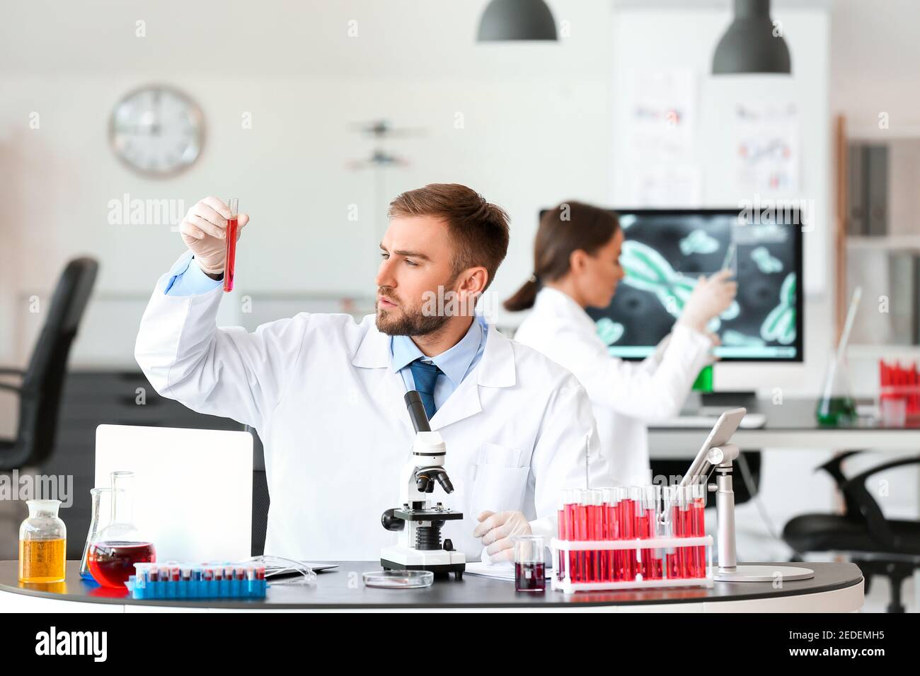 Scientist studying sample in laboratory Stock Photo - Alamy