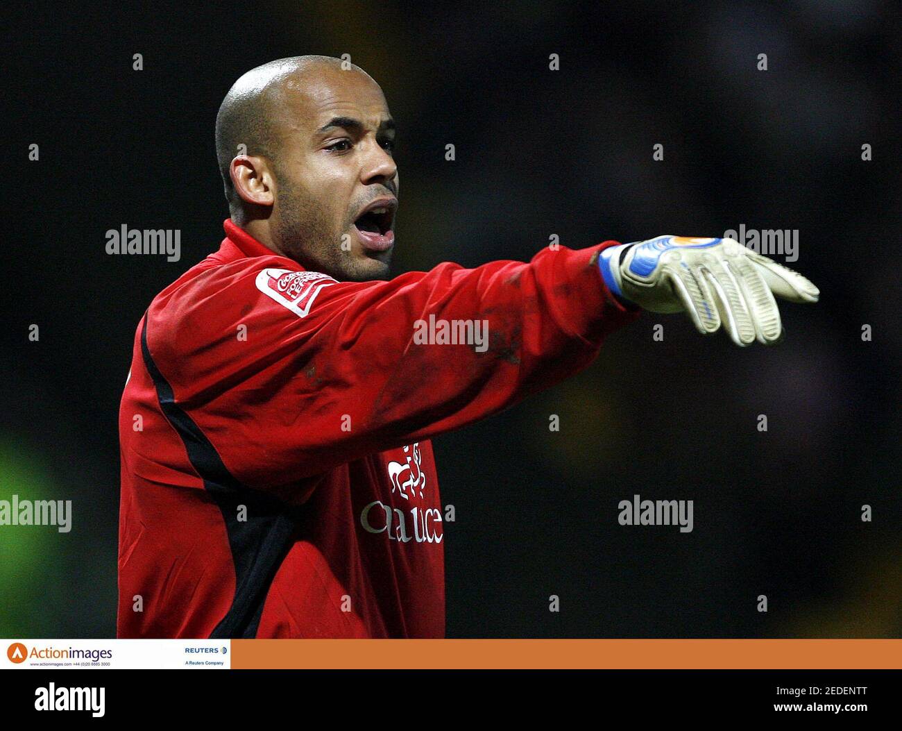 Matt murray wolves hi-res stock photography and images - Alamy