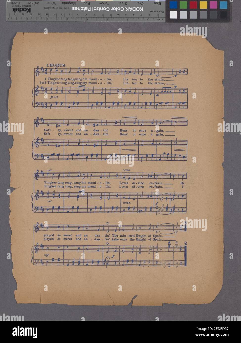 My magic mandolin Stock Photo - Alamy