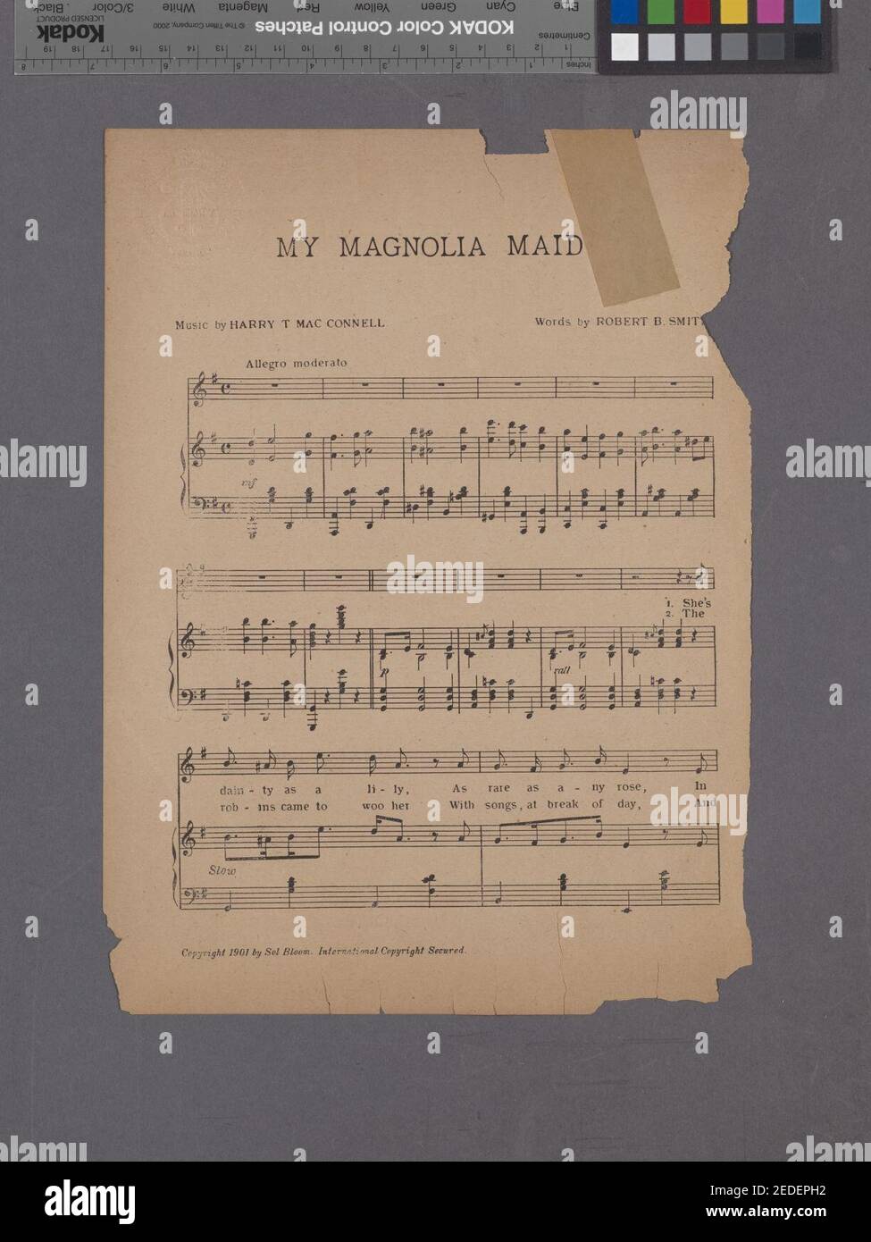 My magnolia maid Stock Photo - Alamy