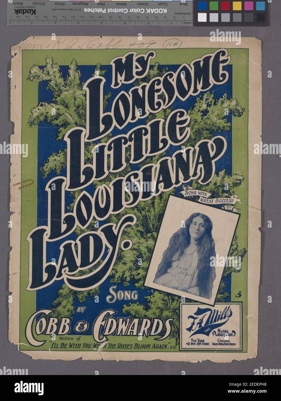 My lonesome little Louisiana lady Stock Photo - Alamy