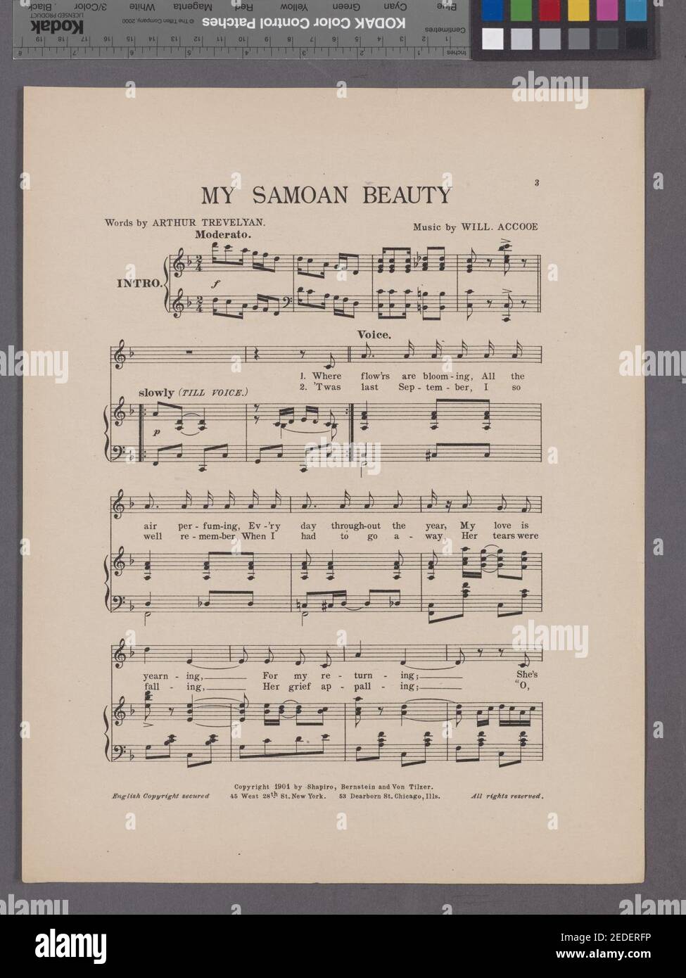 My Samoan beauty Stock Photo - Alamy