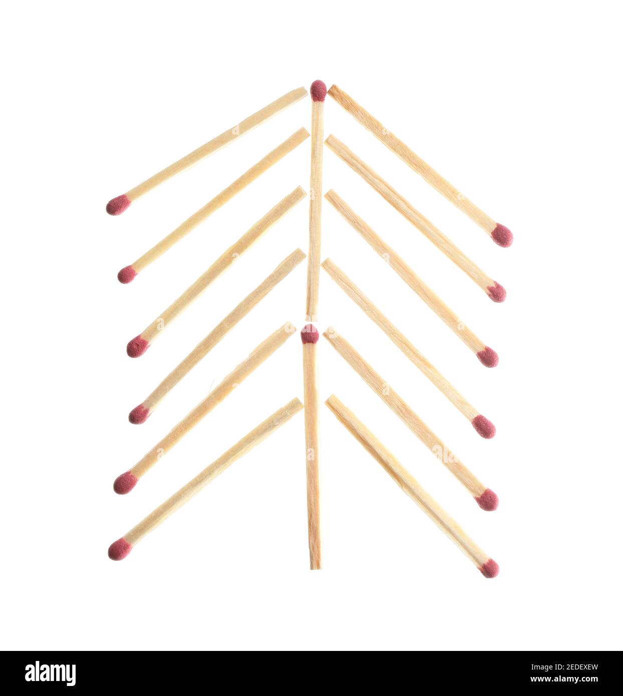 What Trees Are Used To Make Matches at Mary Jorgenson blog
