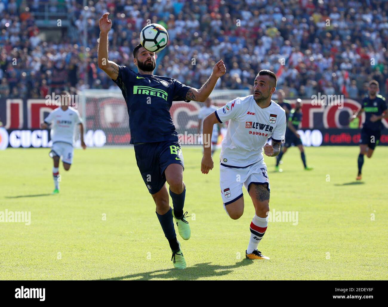 Martella bruno hi-res stock photography and images - Alamy