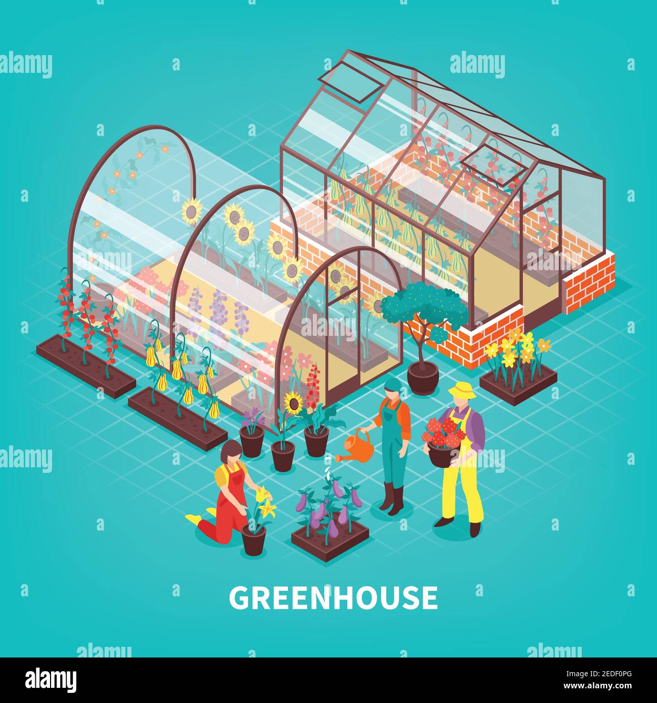Colored greenhouse isometric composition with gardeners workers who are ...