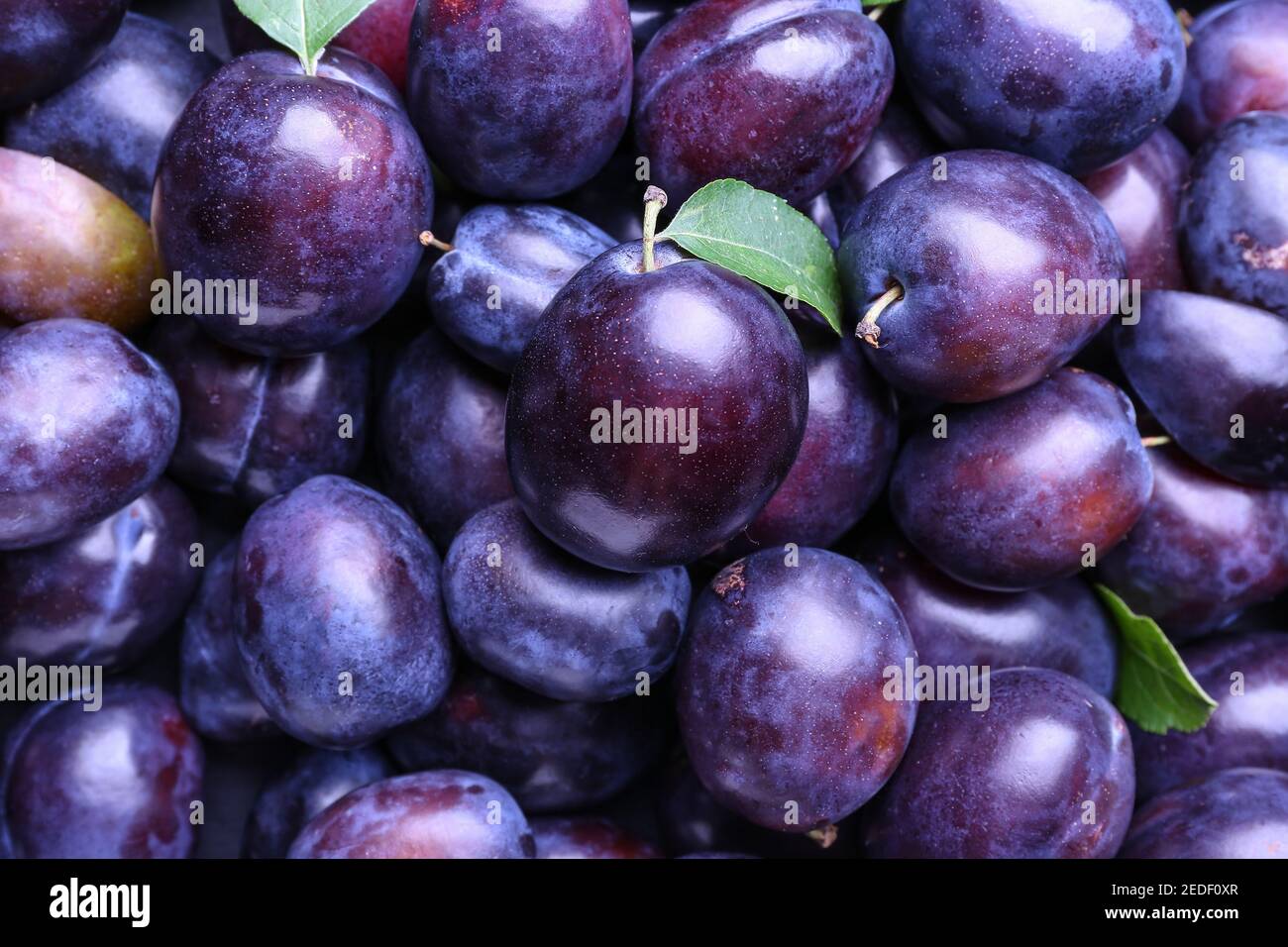 Many ripe plums as background Stock Photo - Alamy