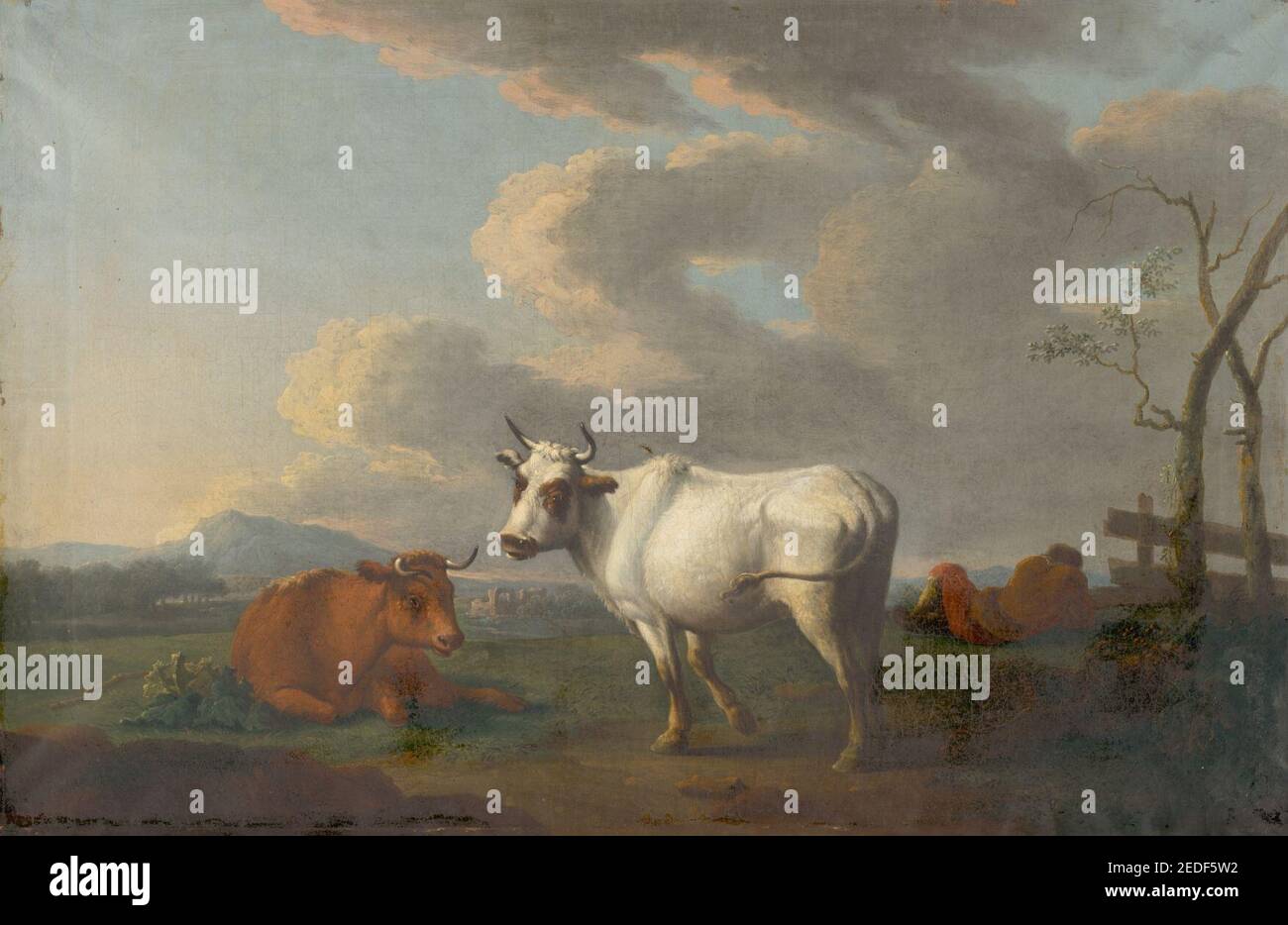 Nemecký maliar z 19. storočia - Cow Grazing Stock Photo - Alamy