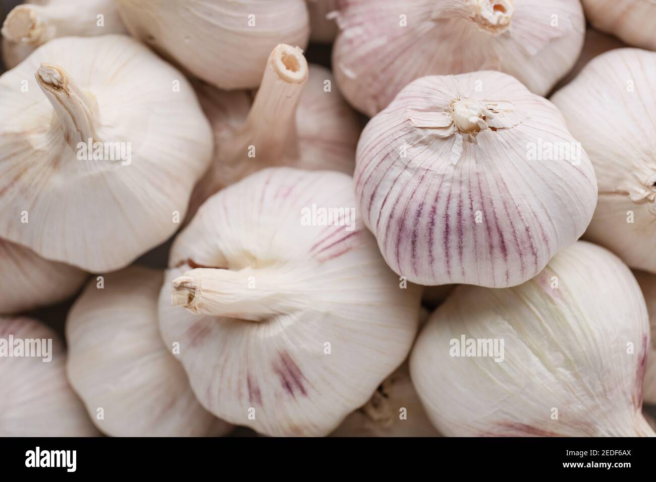 Heap of fresh garlic as background Stock Photo - Alamy