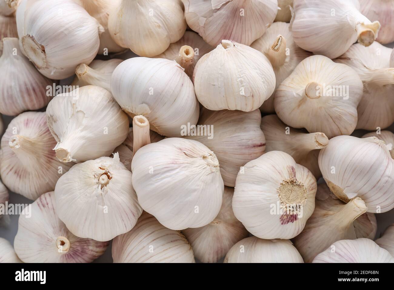 Heap of fresh garlic as background Stock Photo - Alamy