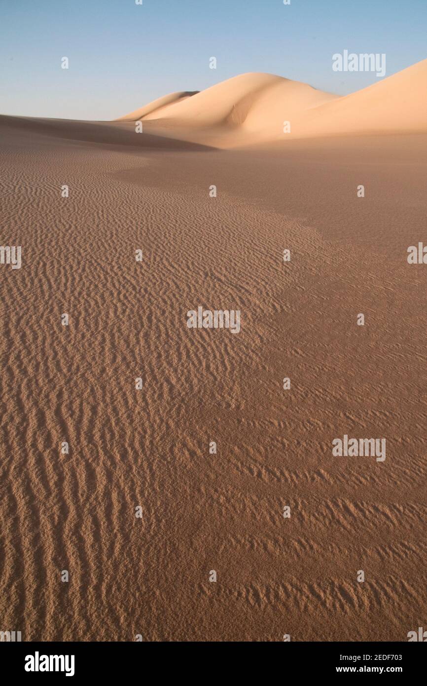 Whaleback hi-res stock photography and images - Alamy