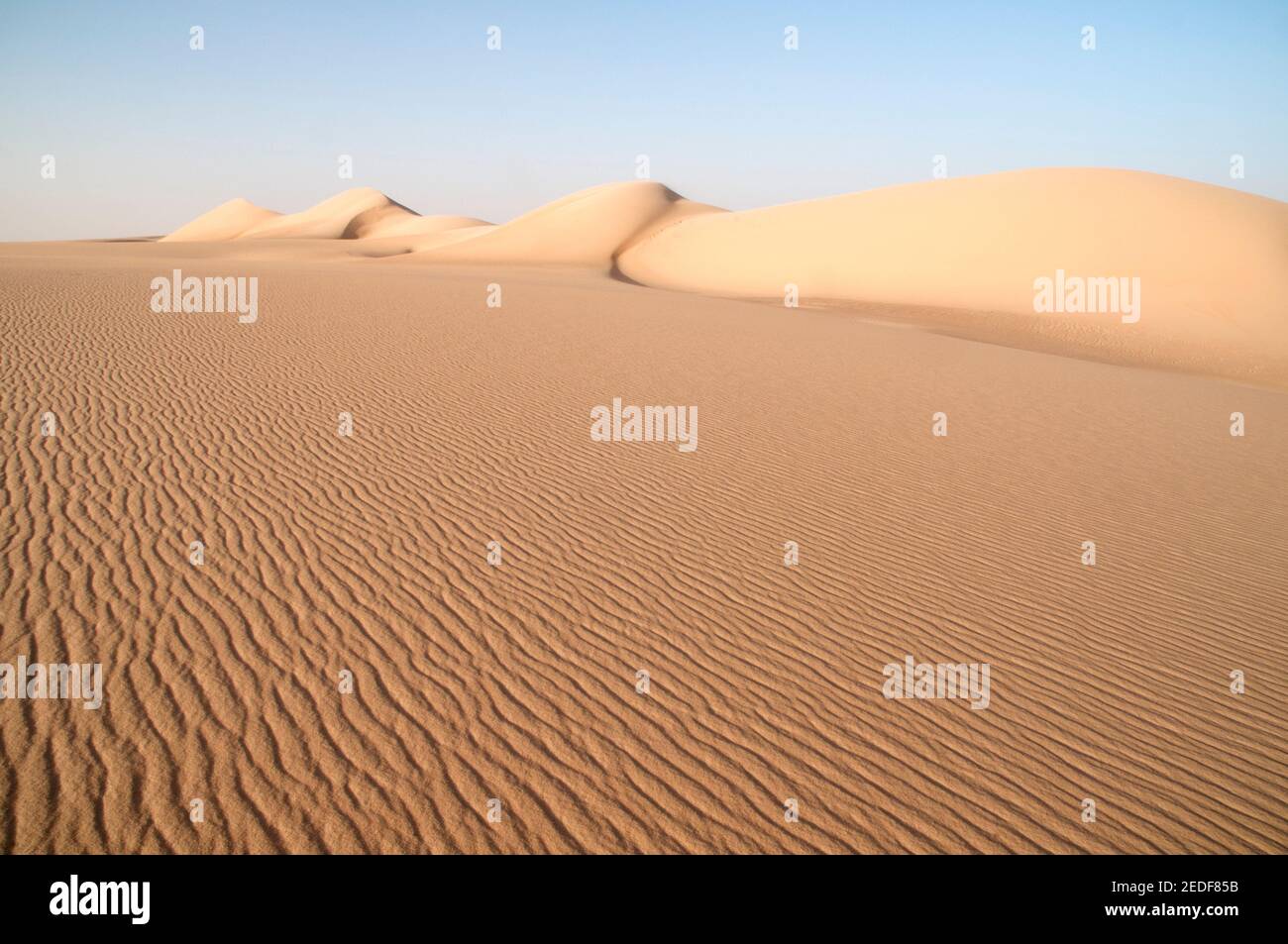 A giant whaleback sand dune stretching across the Great Sand Sea, in ...