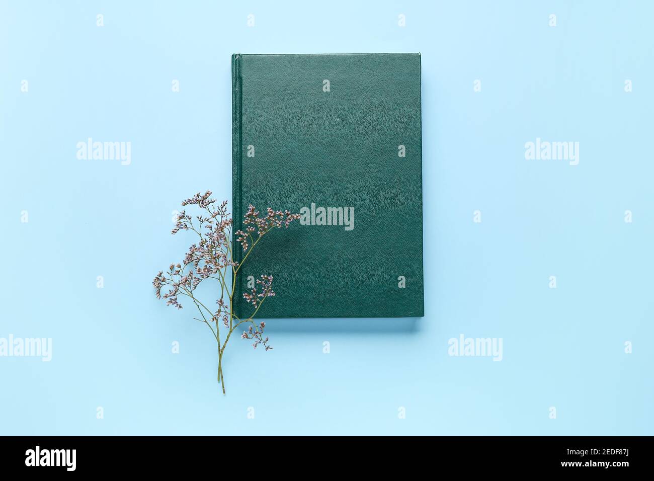 Blank book and flower on color background Stock Photo - Alamy