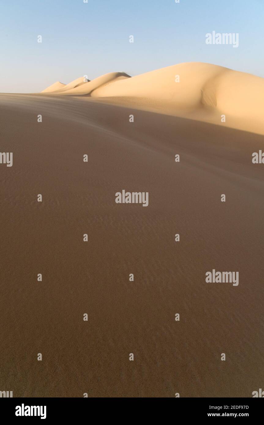 A giant whaleback sand dune stretching across the Great Sand Sea, in ...