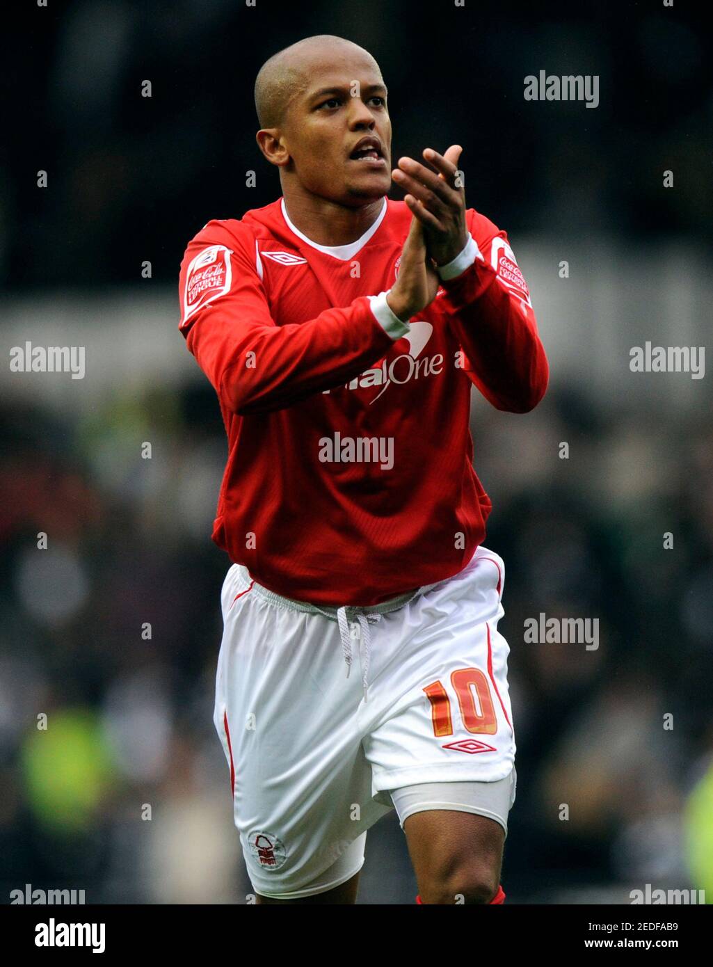 Robert earnshaw forest hi-res stock photography and images - Alamy