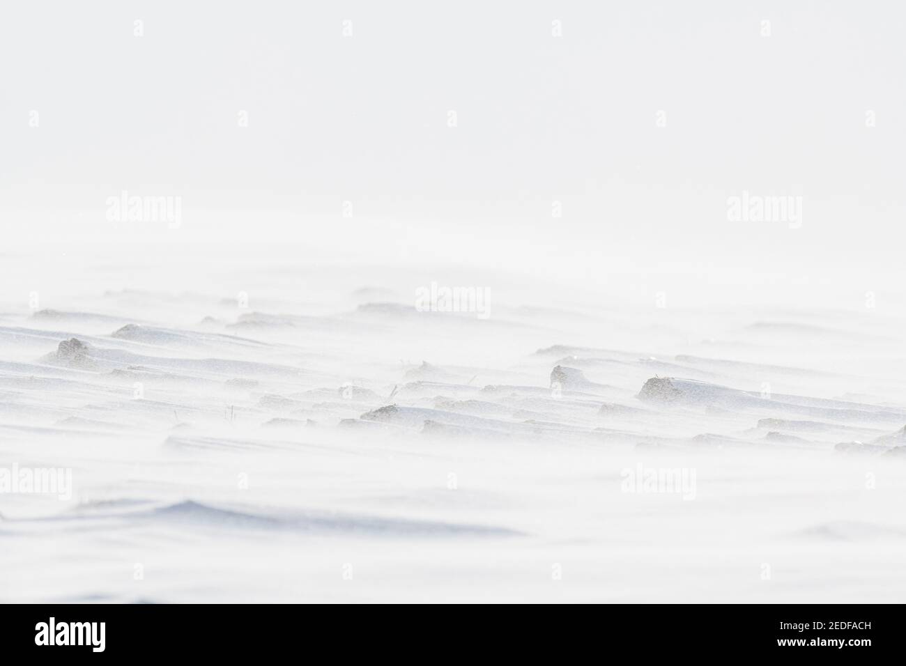 Beautiful winter background hi-res stock photography and images - Alamy