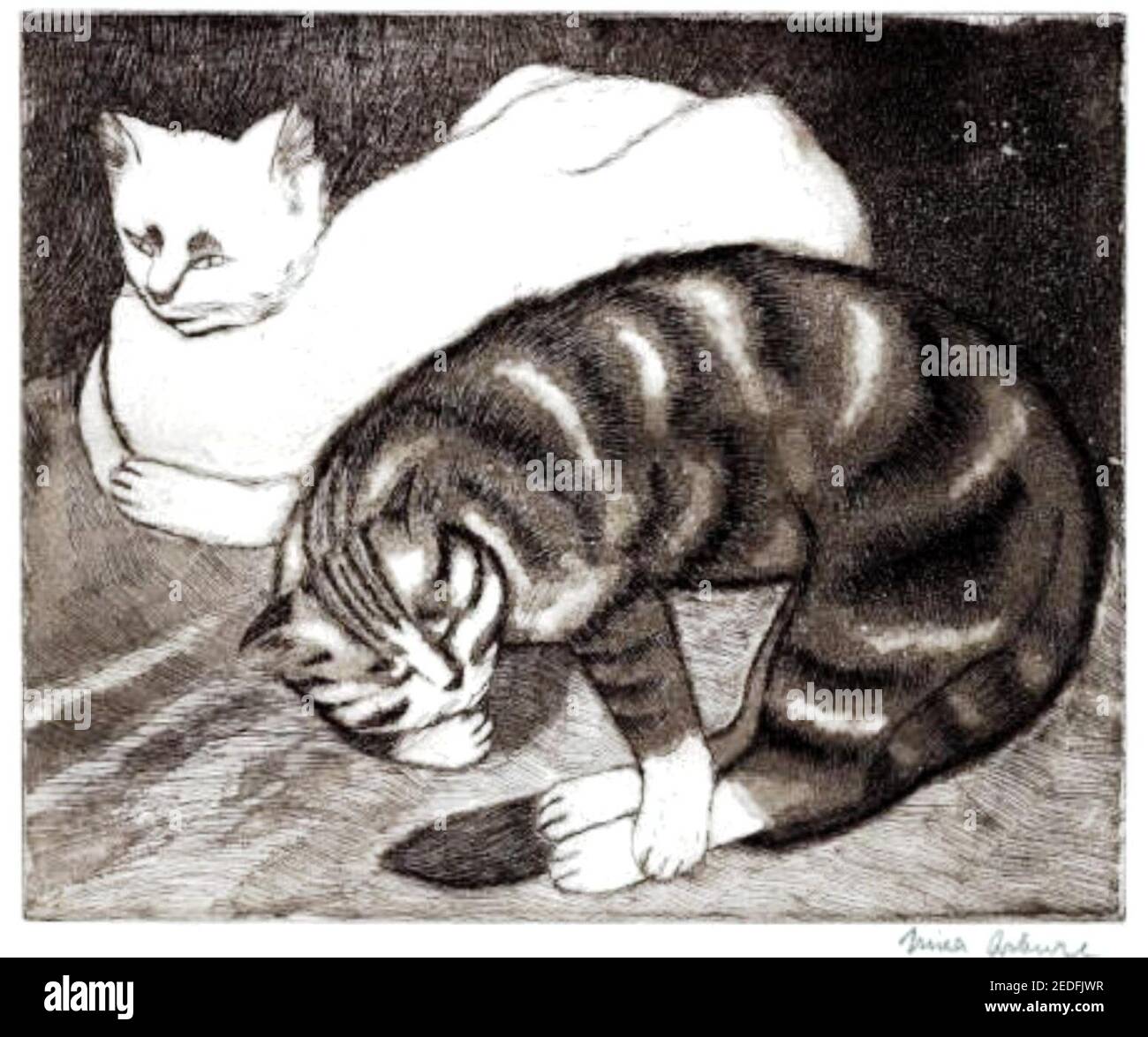 Nina Arbore - Pisici, 1935 Stock Photo - Alamy