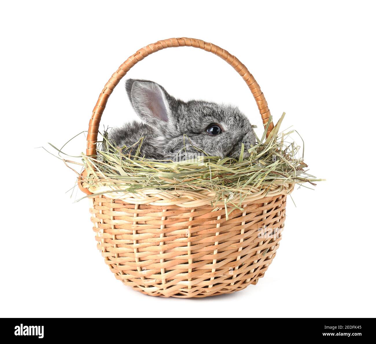 Cute fluffy rabbit in basket on white background Stock Photo - Alamy