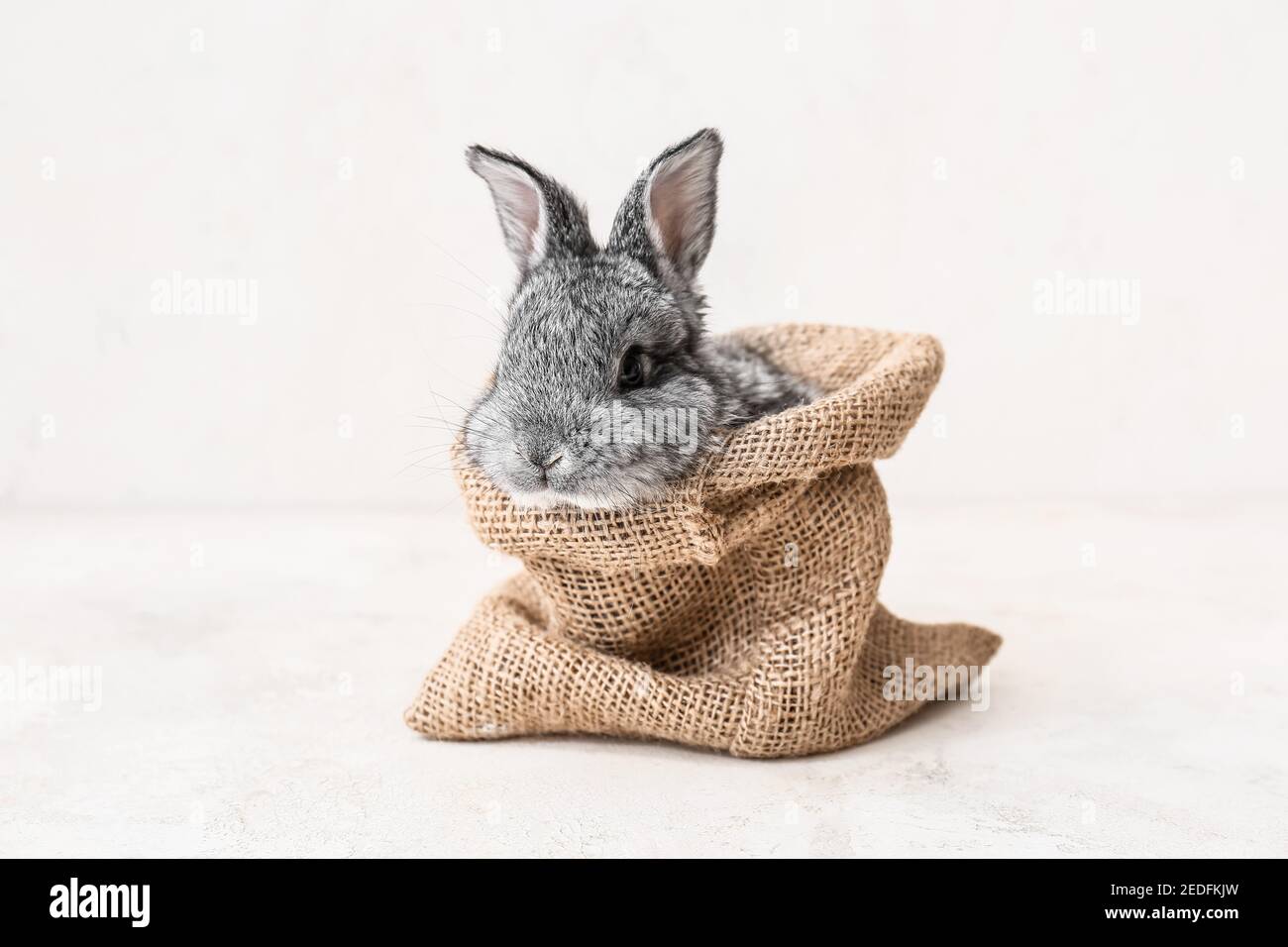Rabbit fur bag hi-res stock photography and images - Alamy