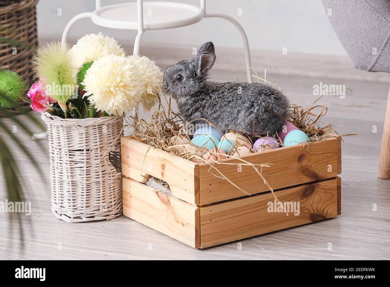 Cute rabbit flowers box hi-res stock photography and images - Alamy