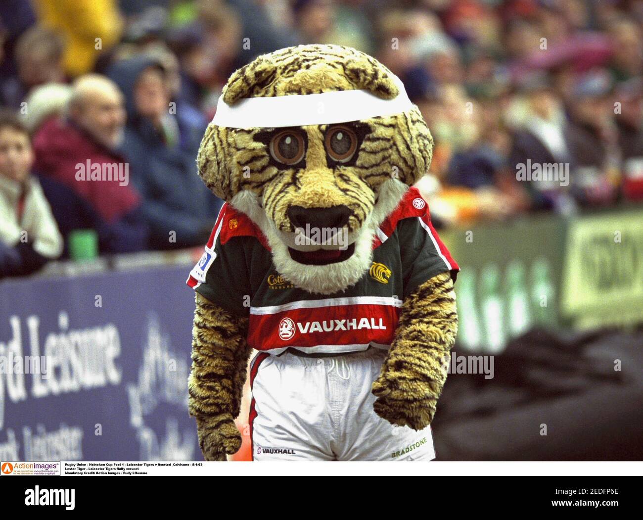 Lester tiger hi-res stock photography and images - Alamy