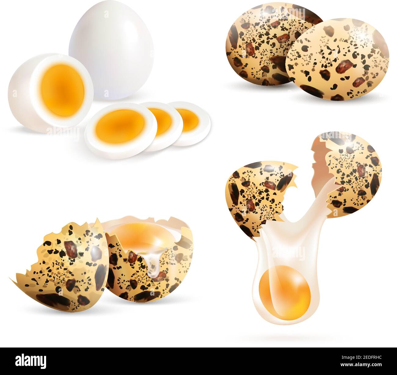 Quail eggs isolated realistic images set of whole eggs and cracked eggshell pieces with boiled ...