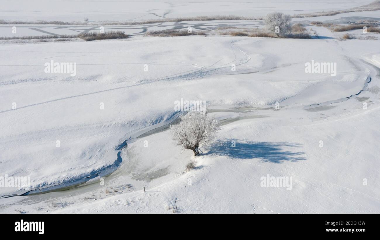 Aerial view single tree standing hi-res stock photography and images ...