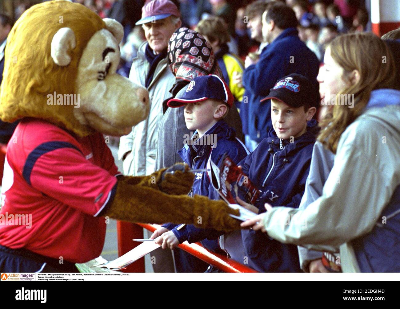 Rotherham united mascot hi-res stock photography and images - Alamy