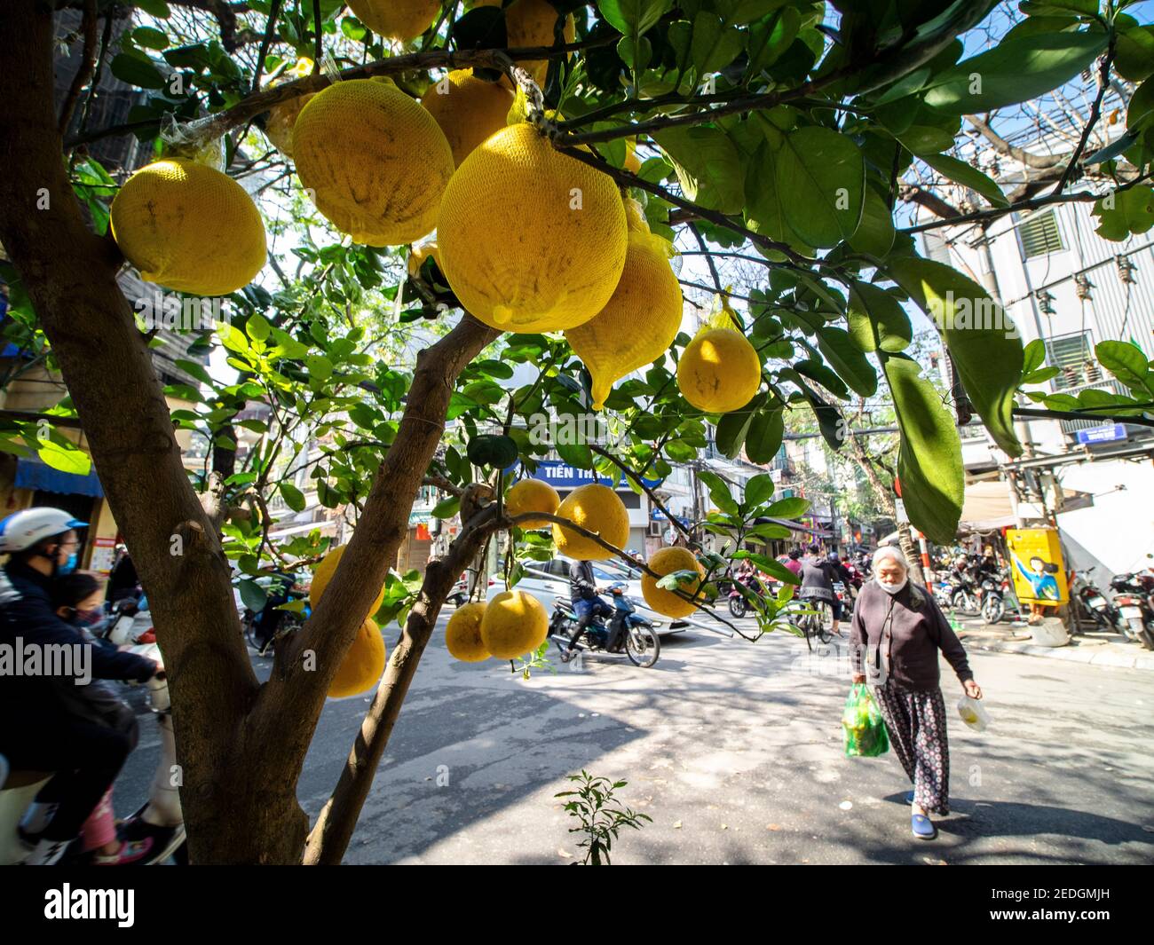 Hanoi daily life Stock Photo - Alamy